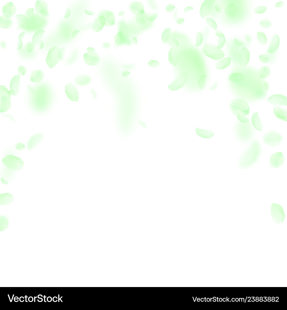 Green flower petals falling down actual romantic Vector Image