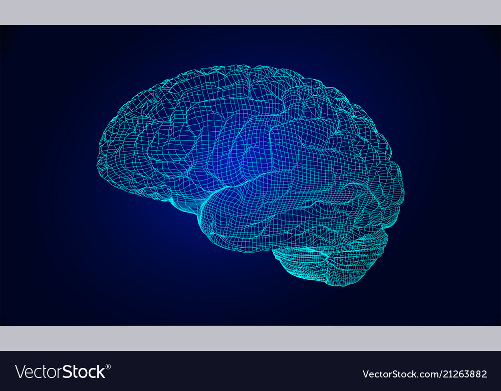 Wireframe brain Royalty Free Vector Image - VectorStock