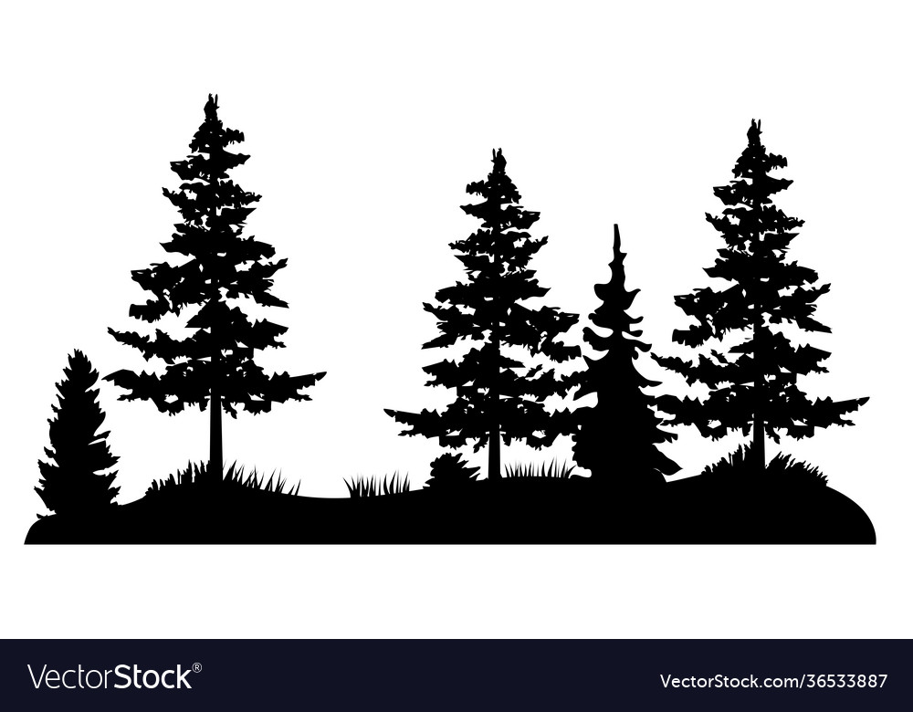 Pine forest Royalty Free Vector Image - VectorStock