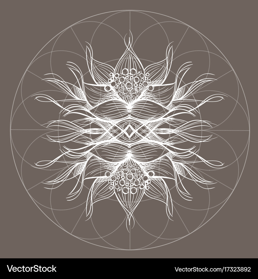 Elegant element of a stylized flower with smooth Vector Image