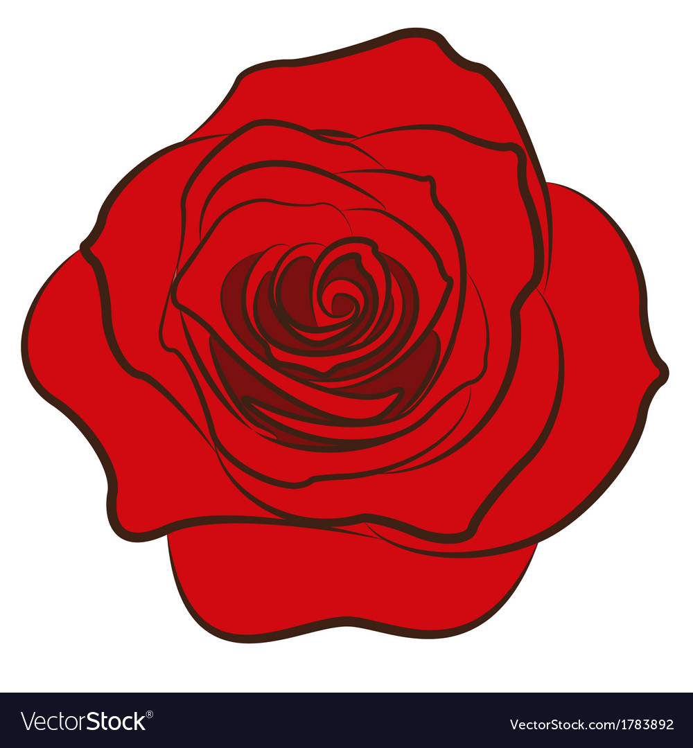 Rose Royalty Free Vector Image - VectorStock