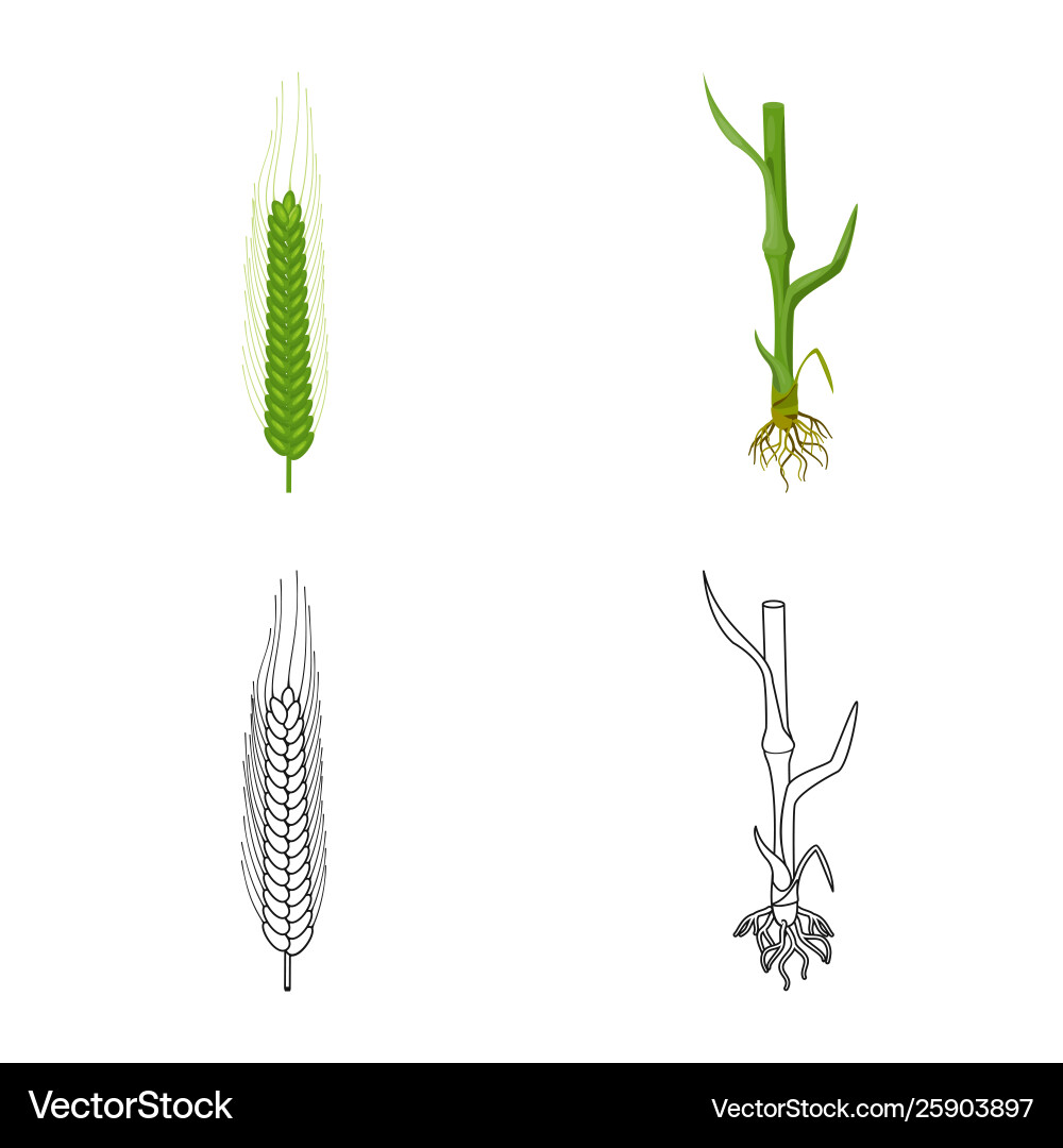 Agriculture and farming Royalty Free Vector Image