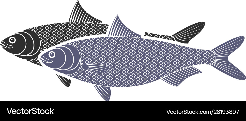 Herring Royalty Free Vector Image - VectorStock