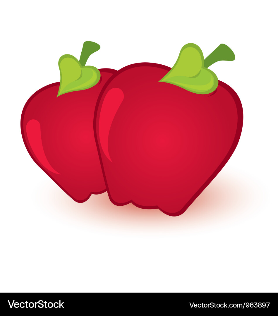 Two apples Royalty Free Vector Image - VectorStock