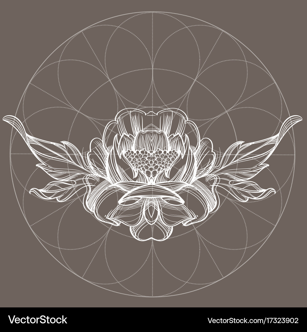 Elegant element of a stylized flower with smooth Vector Image