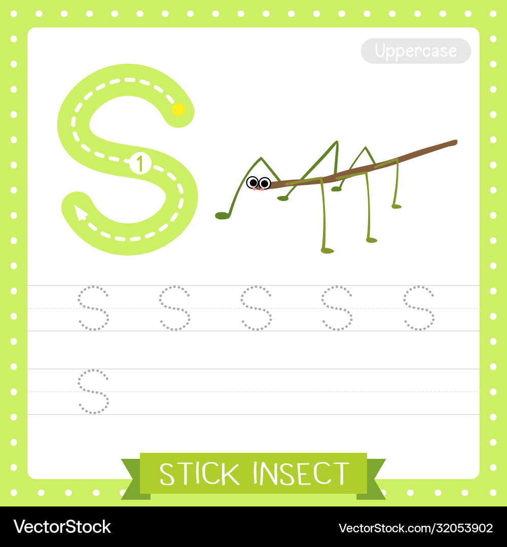 Letter s uppercase tracing practice worksheet Vector Image