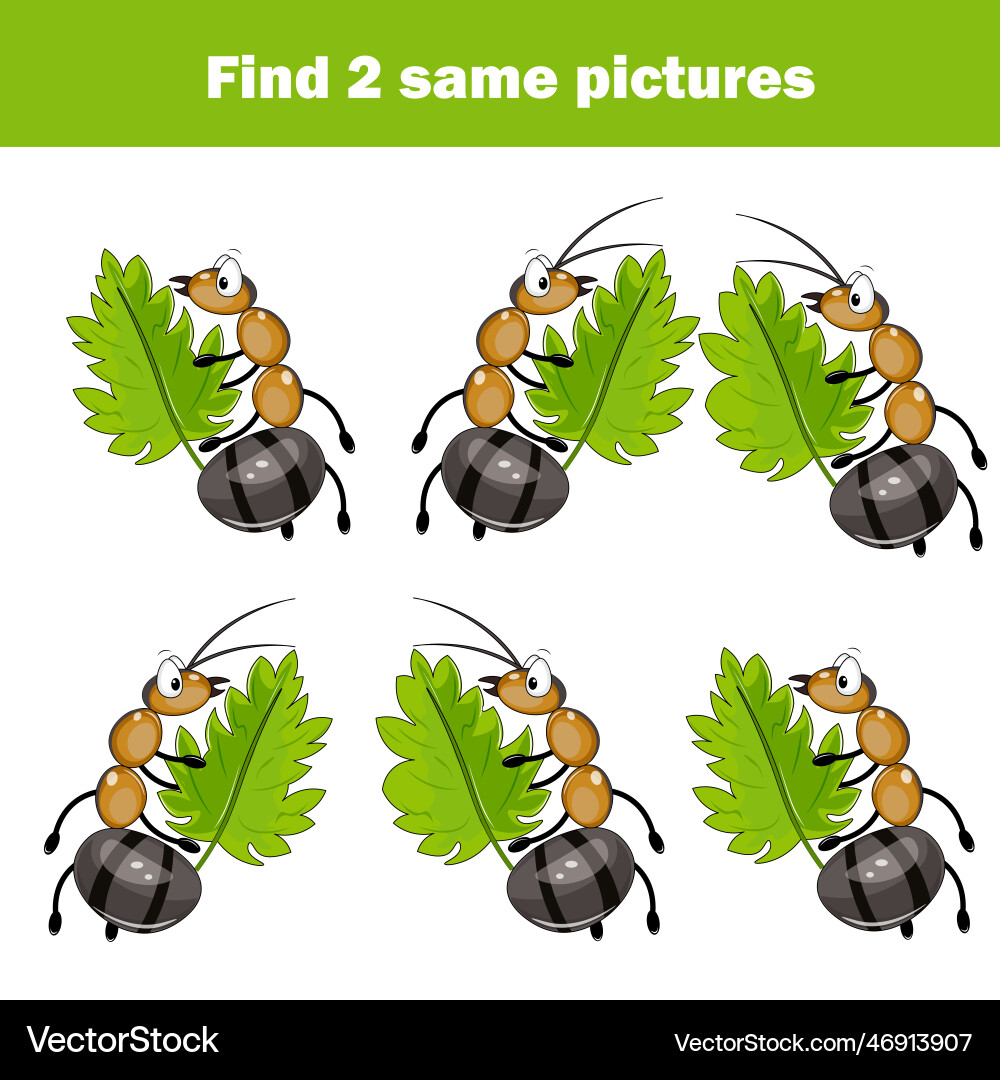 Find the same pictures for kids educational game Vector Image