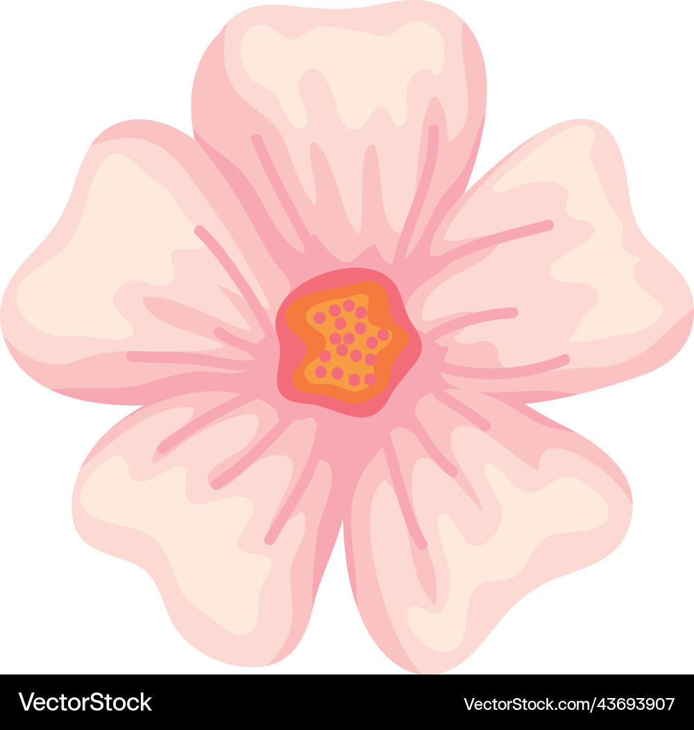 Pink color flower garden Royalty Free Vector Image