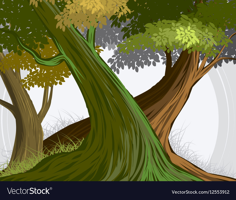 Forest Royalty Free Vector Image - VectorStock