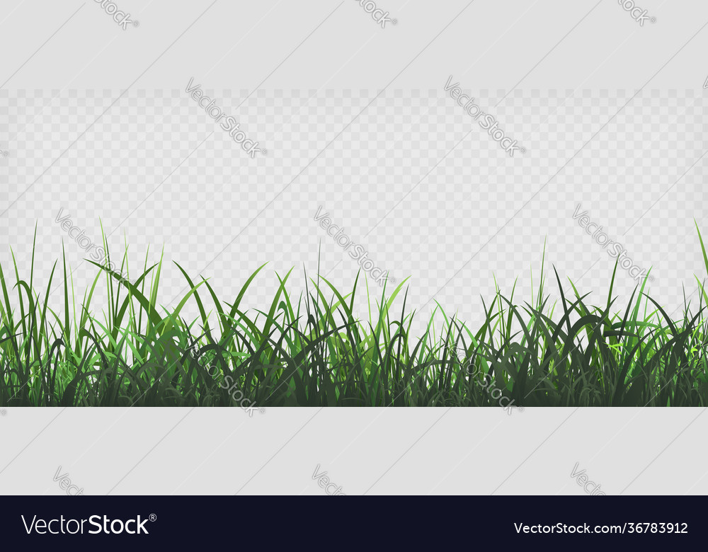 Green grass template seamless pattern Royalty Free Vector