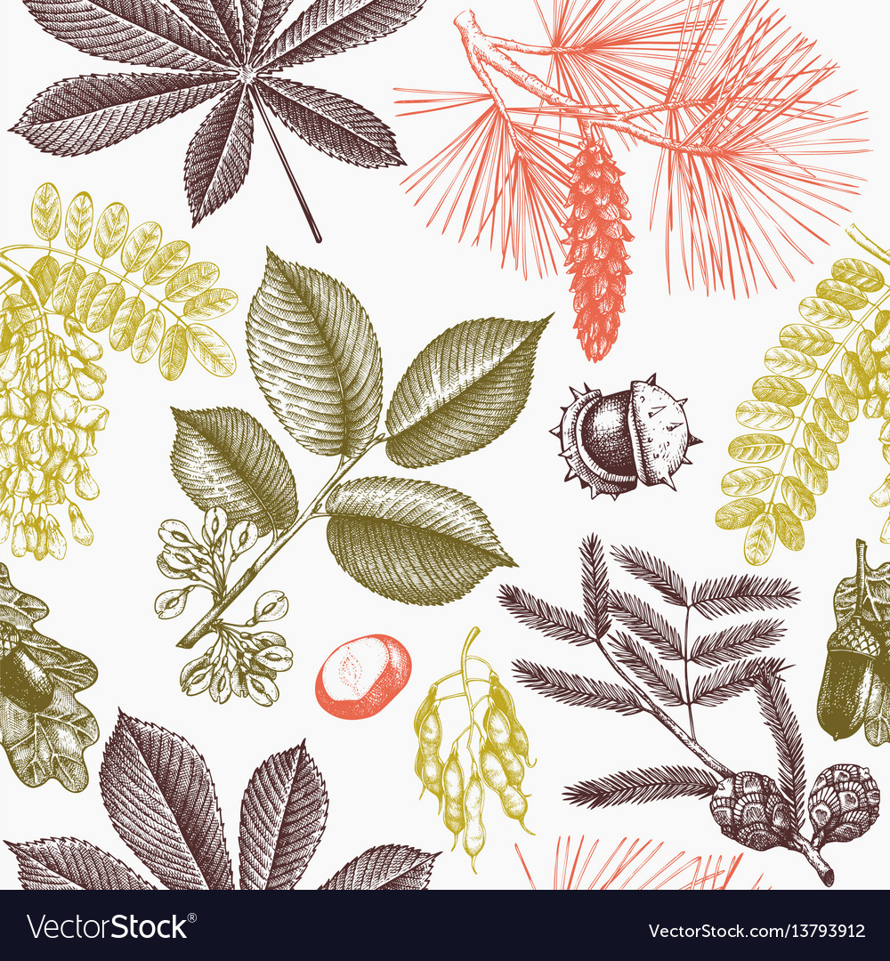 Seamless pattern with hand drawn trees sketch Vector Image