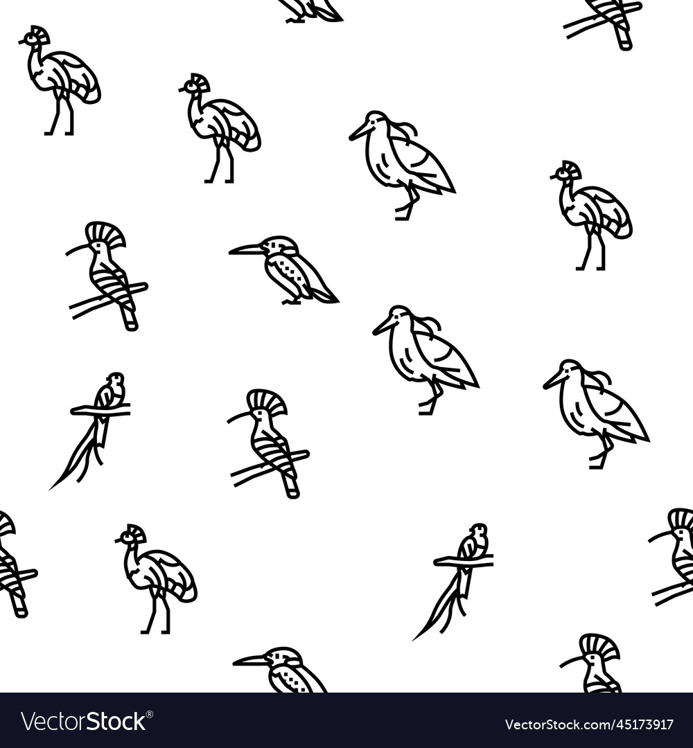 Bird exotic animal nature wild seamless Royalty Free Vector