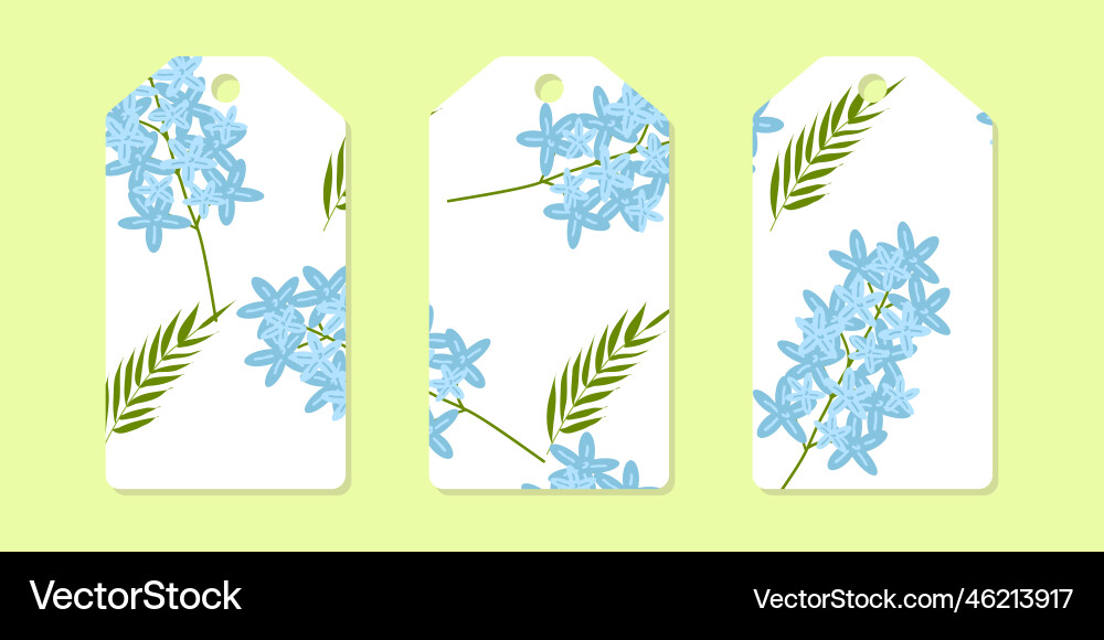 Layout template of colored labels for clothes Vector Image