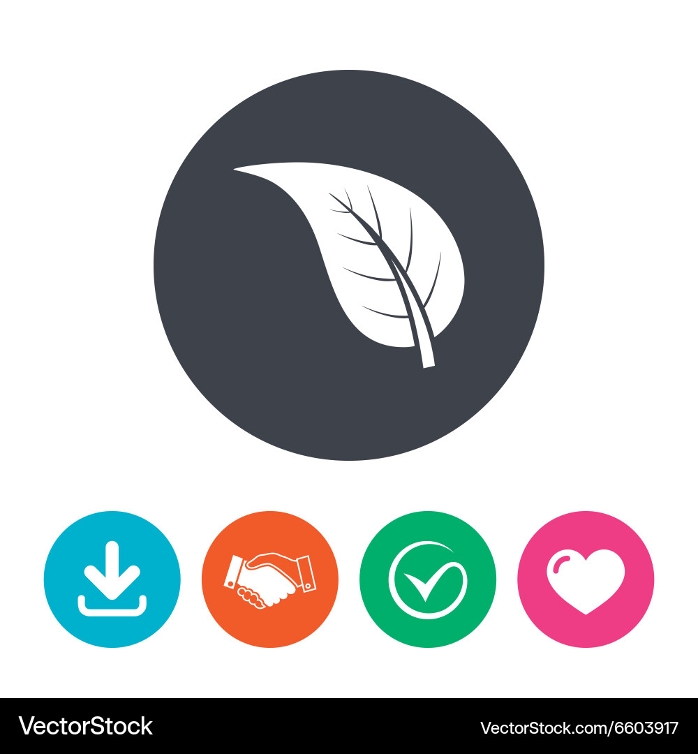 Leaf sign icon fresh product symbol Royalty Free Vector