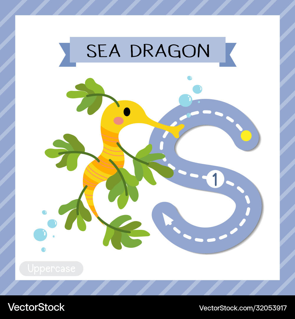 Letter s uppercase tracing sea dragon Royalty Free Vector