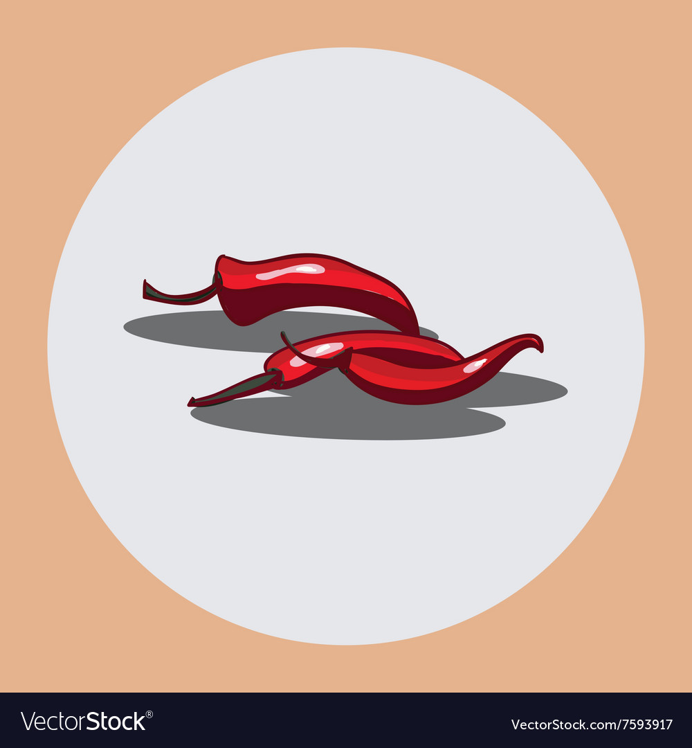 Red pepper Royalty Free Vector Image - VectorStock