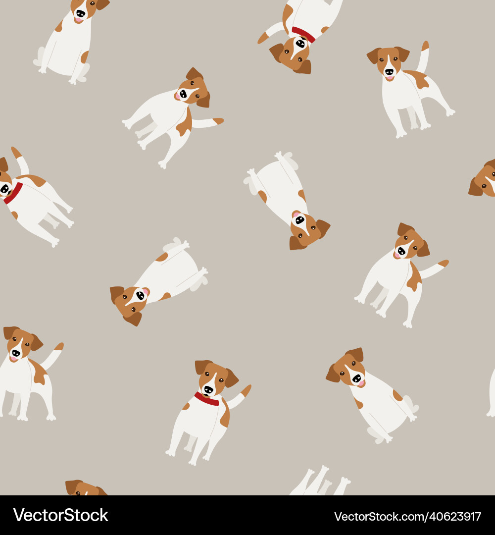 Seamless pattern with poses of jack russell Vector Image