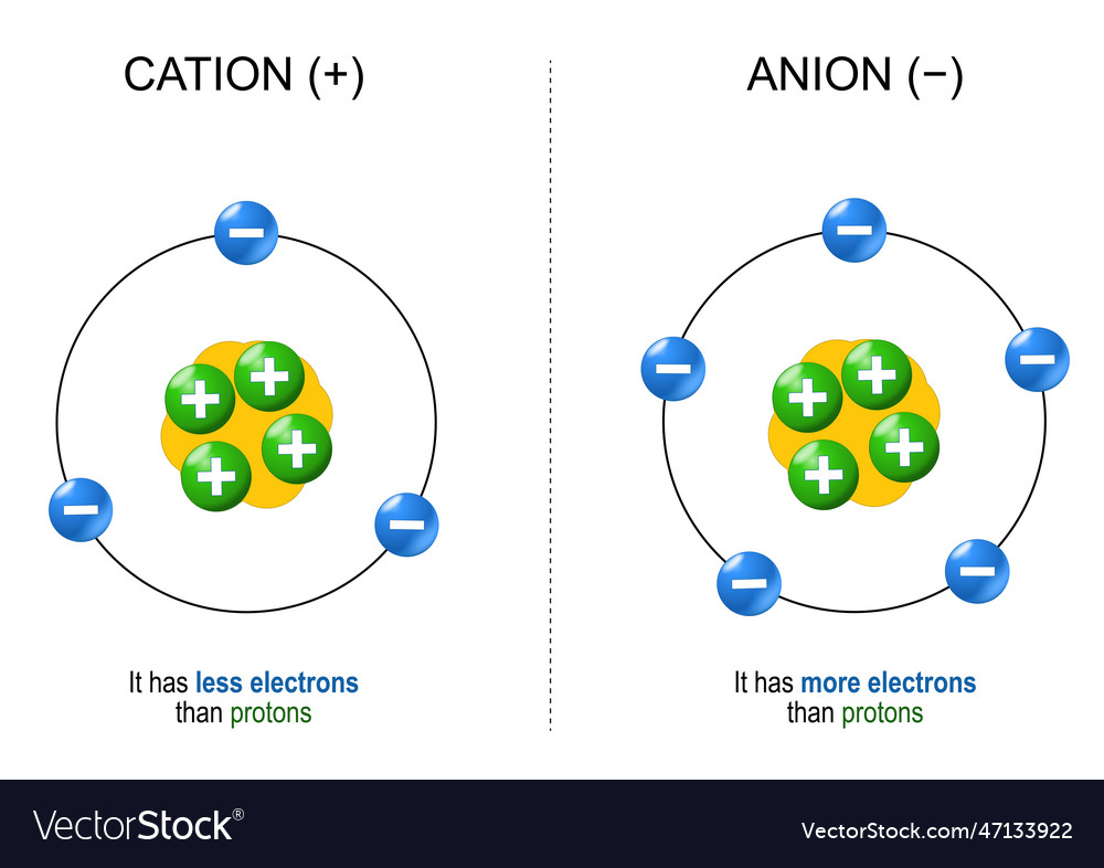 Cations And Anions Structure Of Ions Royalty Free Vector