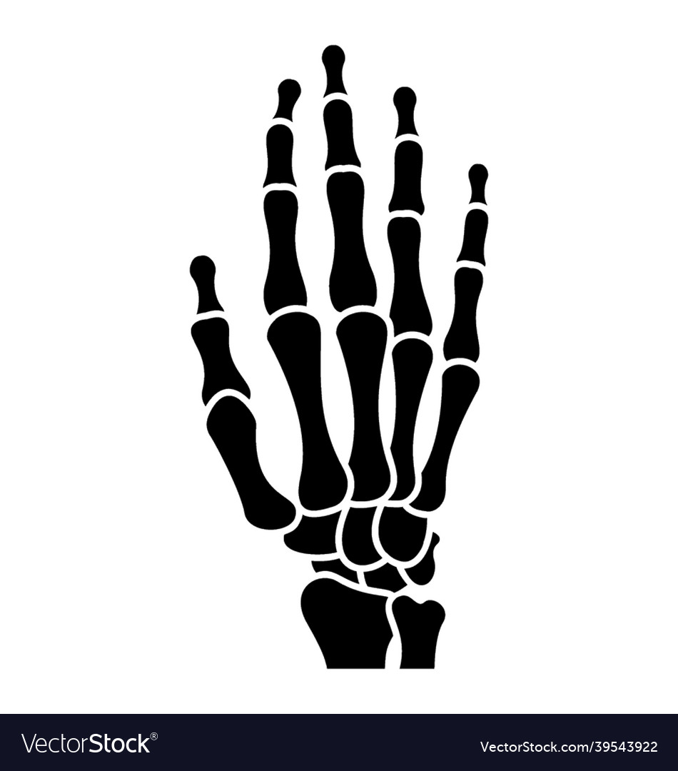 Skeleton hand Royalty Free Vector Image - VectorStock