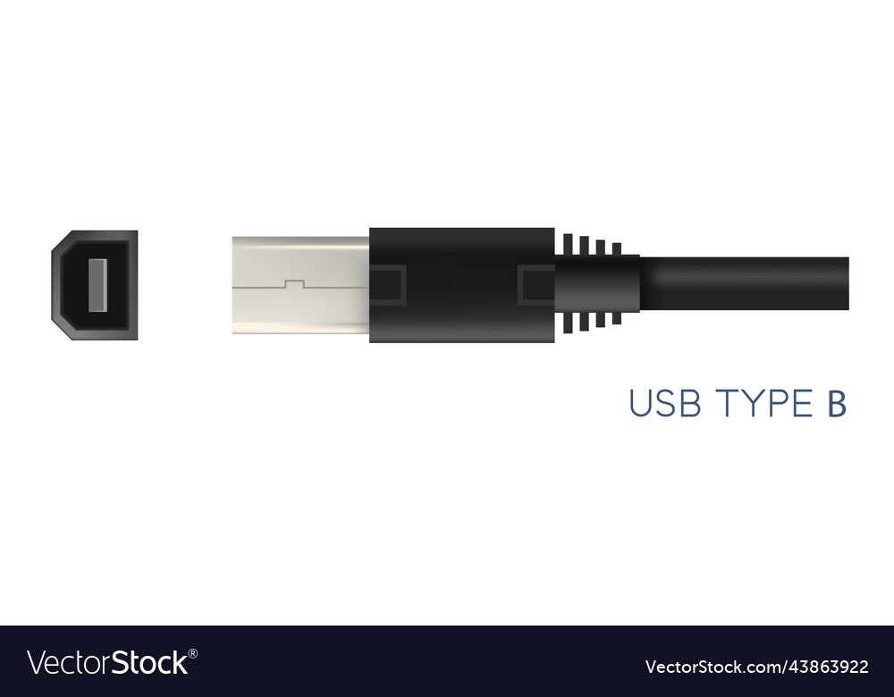 Usb Type B Connector Used For Printer Or Scanner Vector Image
