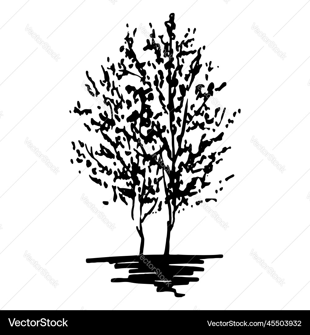 Monochrome trees silhouette sketched line art Vector Image