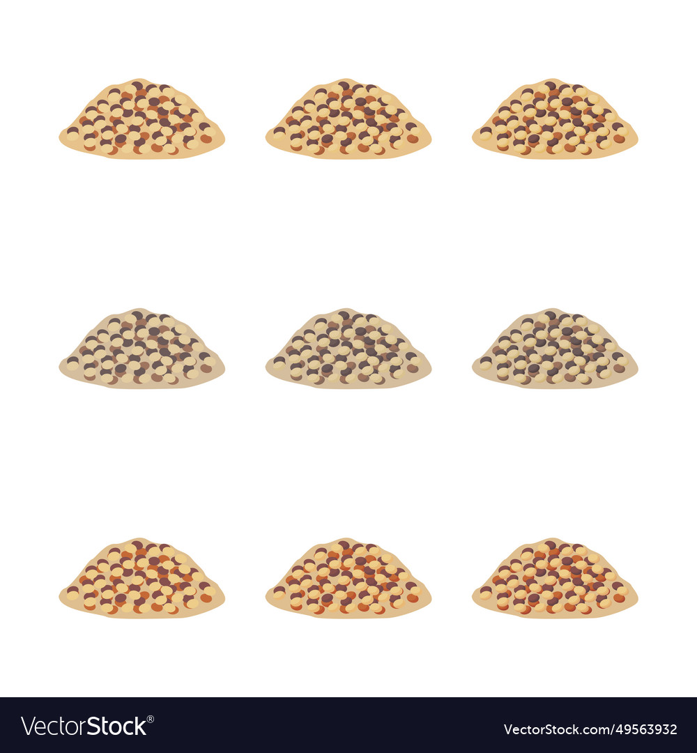 Quinoa Royalty Free Vector Image - VectorStock