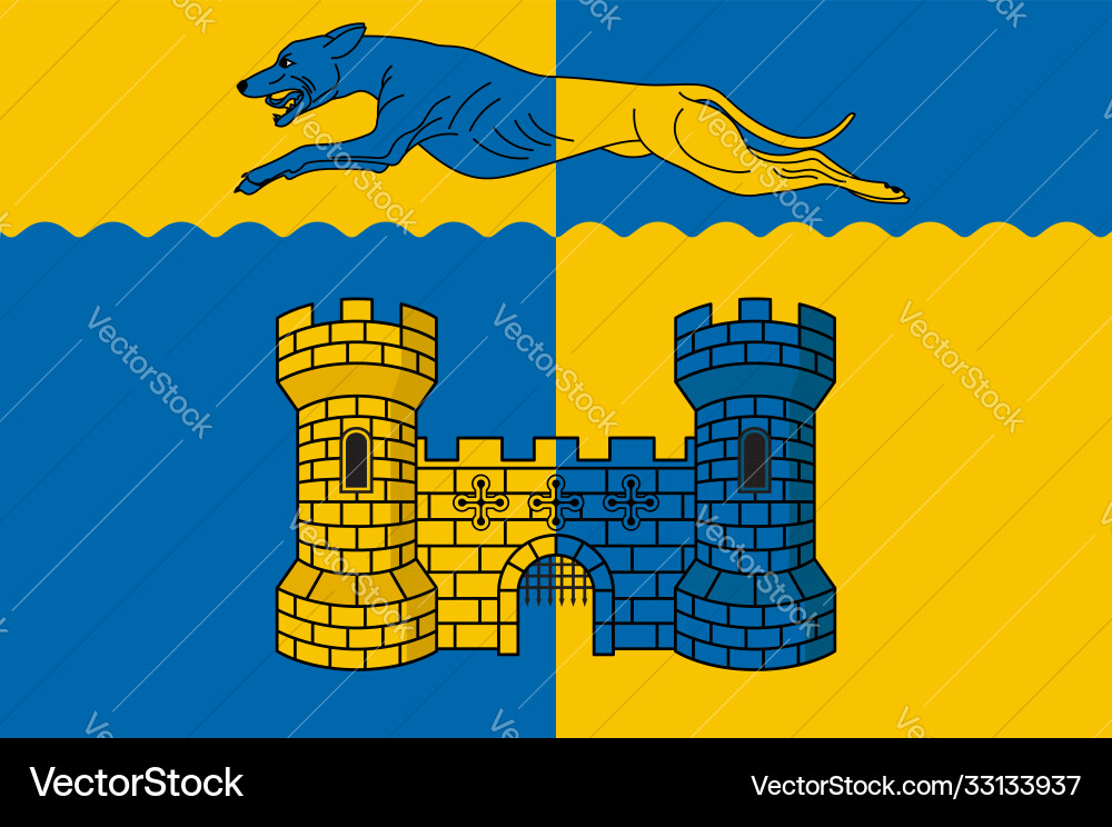 Flag county longford in ireland Royalty Free Vector Image