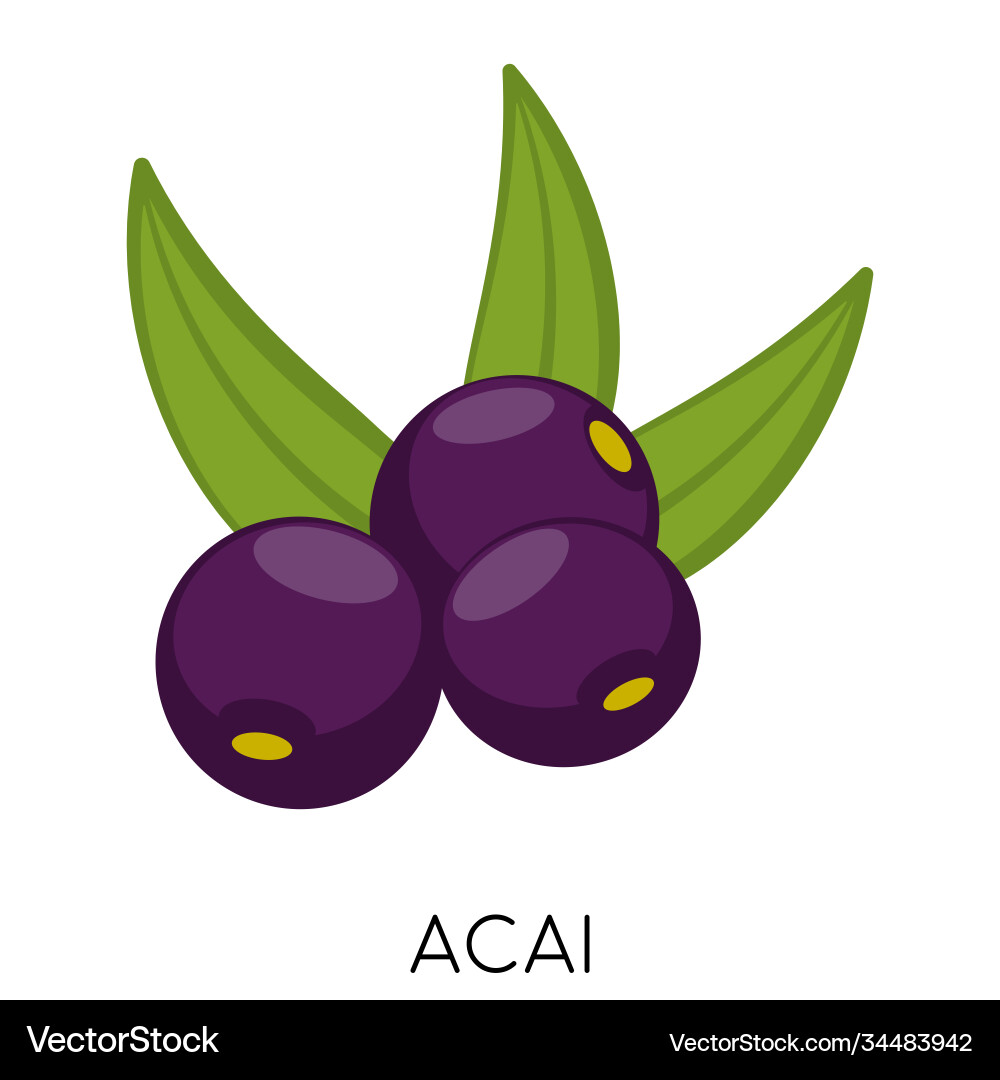 Black acai berry flat icon isolated on white Vector Image