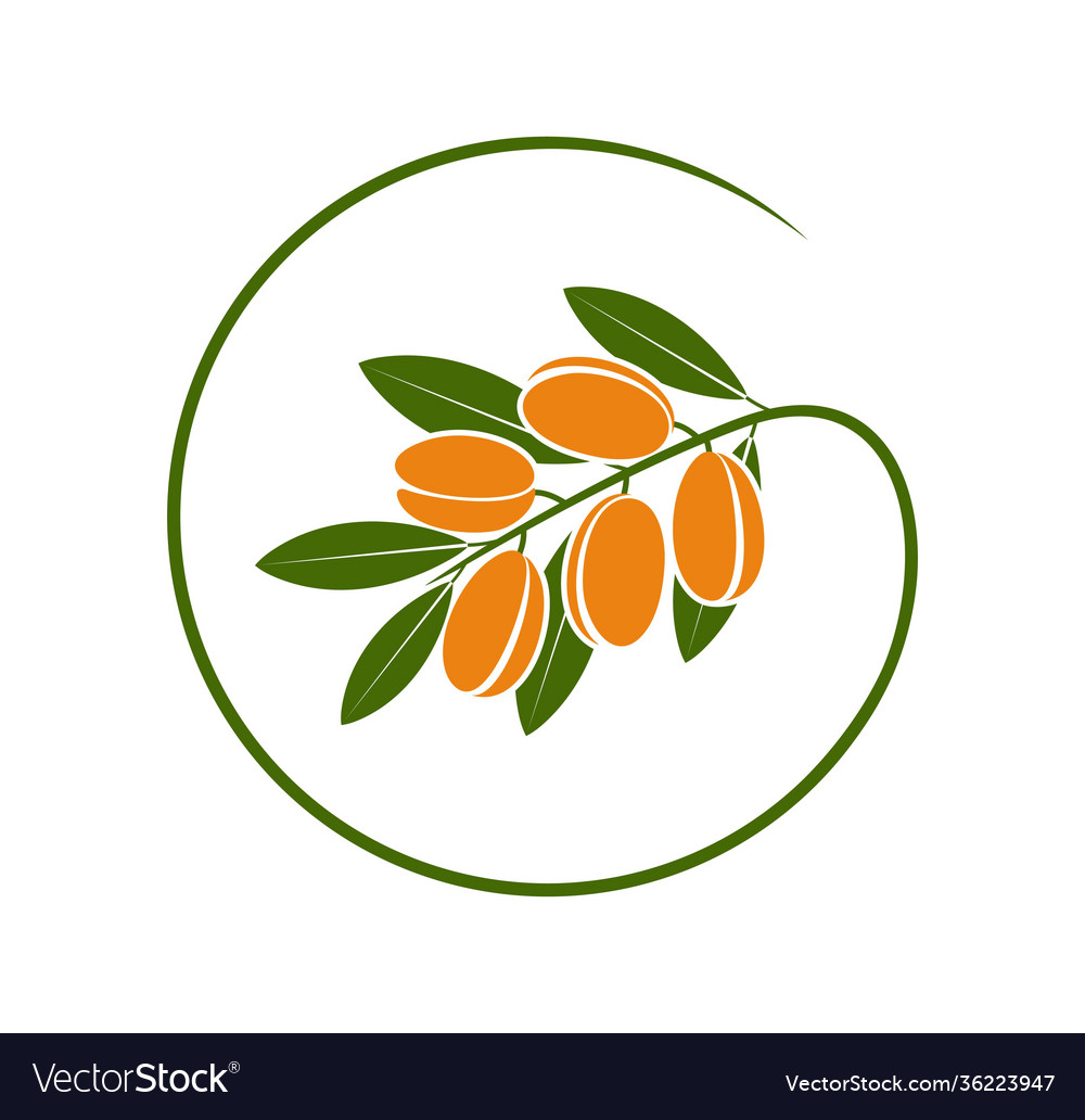 Argan Royalty Free Vector Image - VectorStock