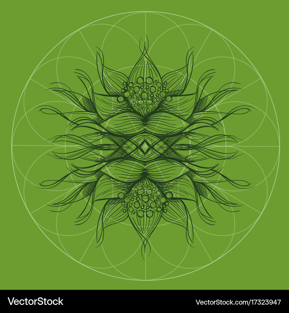 Elegant element of a stylized flower with smooth Vector Image