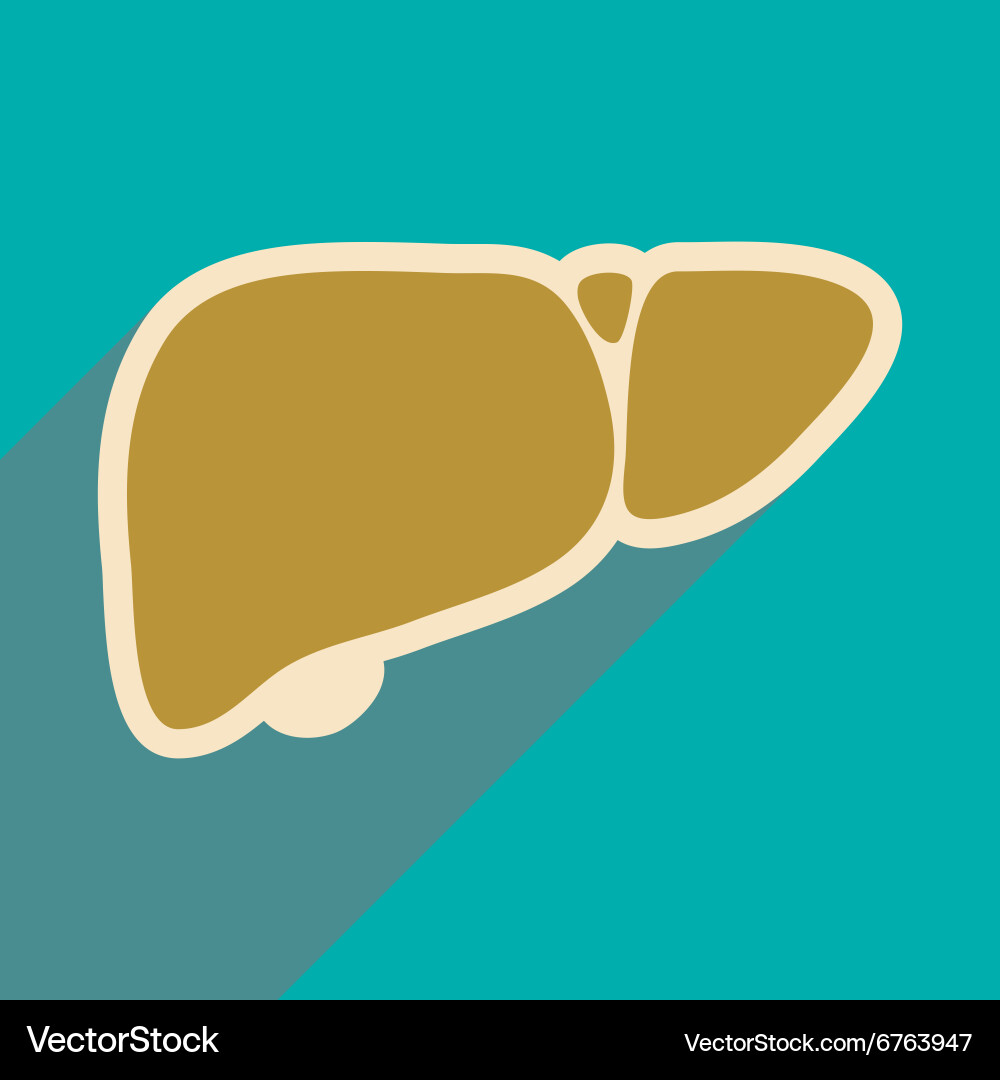 Icon of human liver in flat style Royalty Free Vector Image