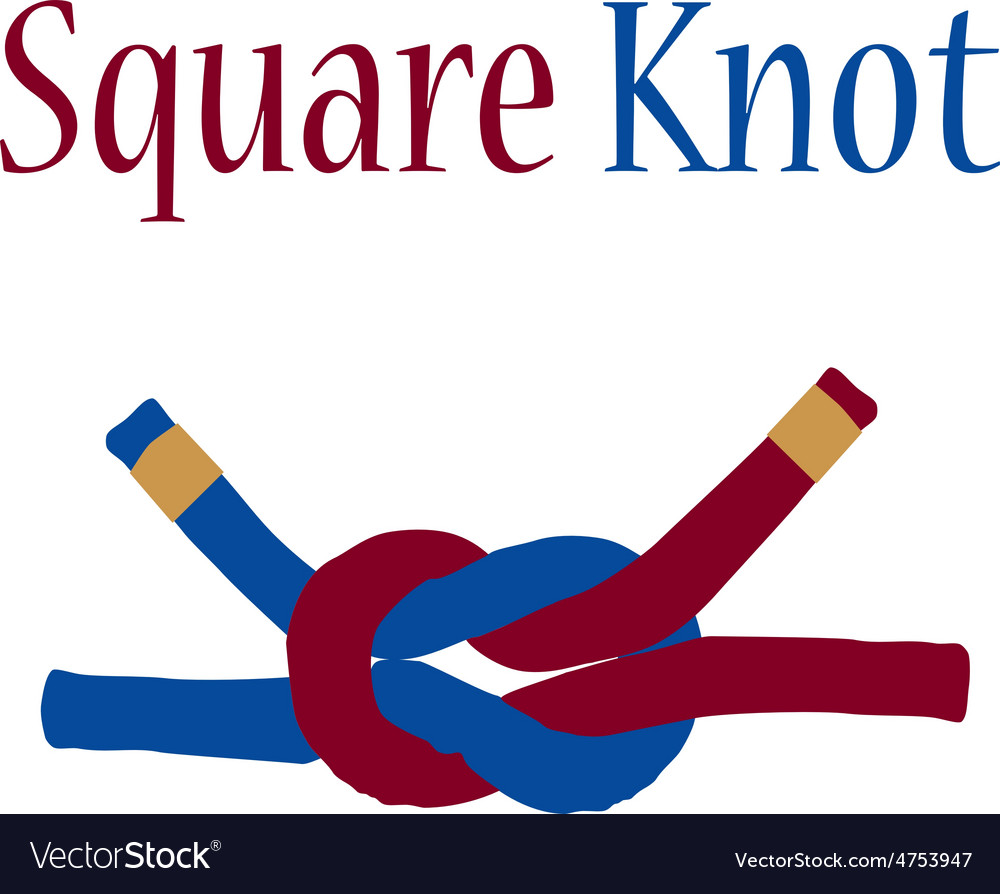 Square knot Royalty Free Vector Image - VectorStock