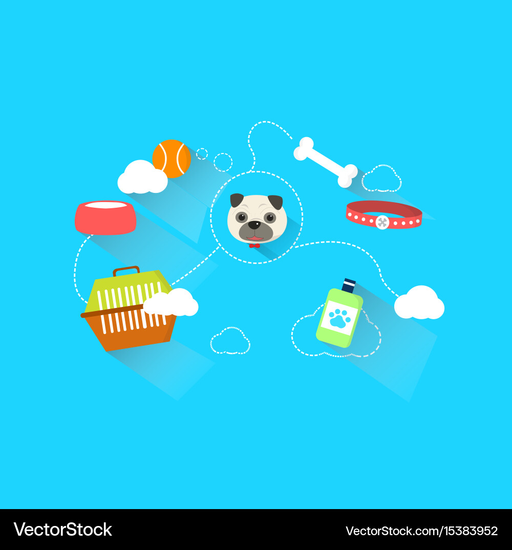 Dog link with accessories and toy dash line Vector Image
