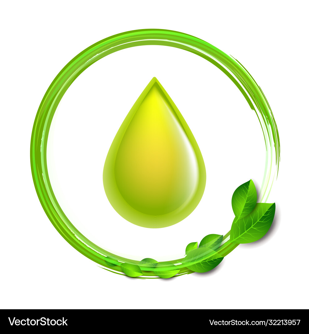 Green glossy drop with leaves isolated Royalty Free Vector