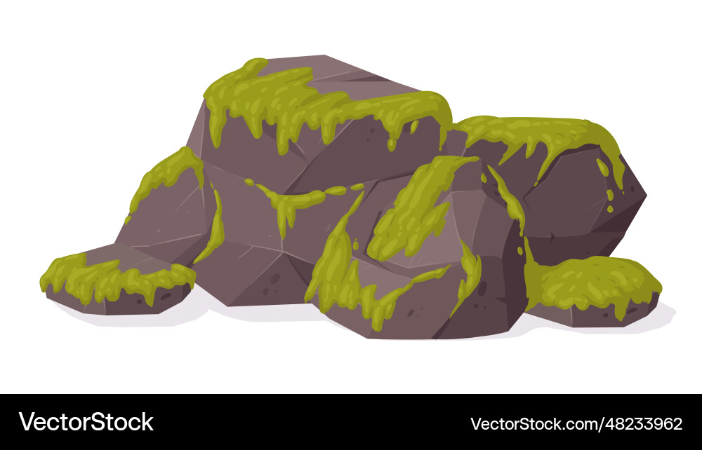 Jungle moss on stone cartoon moss plants grows Vector Image