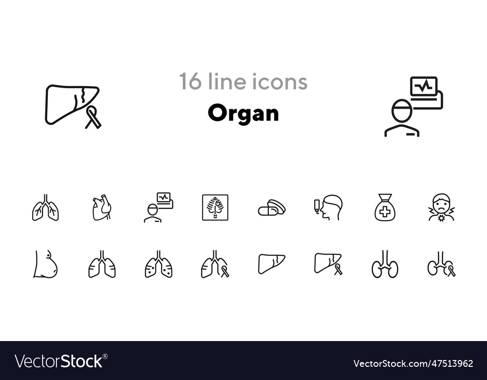 Organ line icon set Royalty Free Vector Image - VectorStock