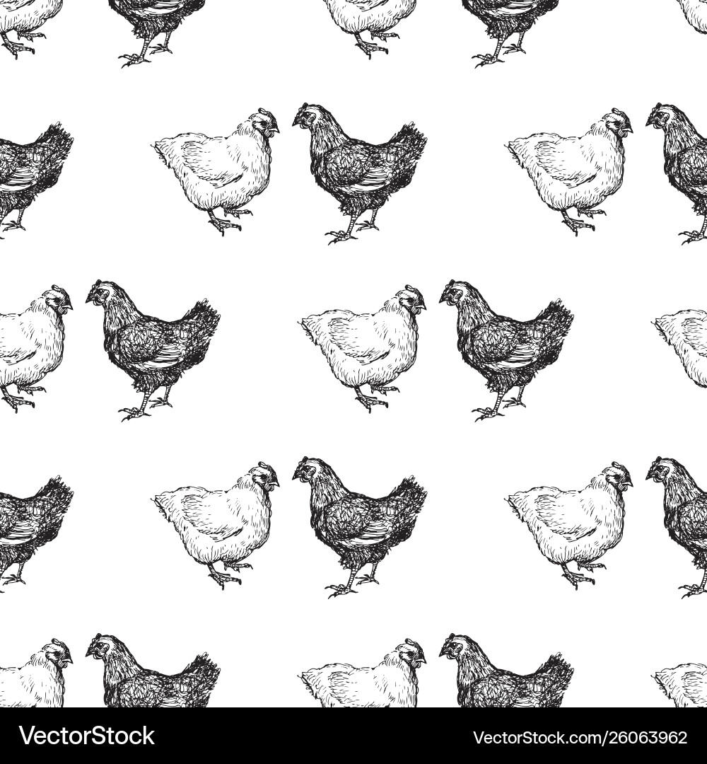Pattern drawn hens Royalty Free Vector Image - VectorStock