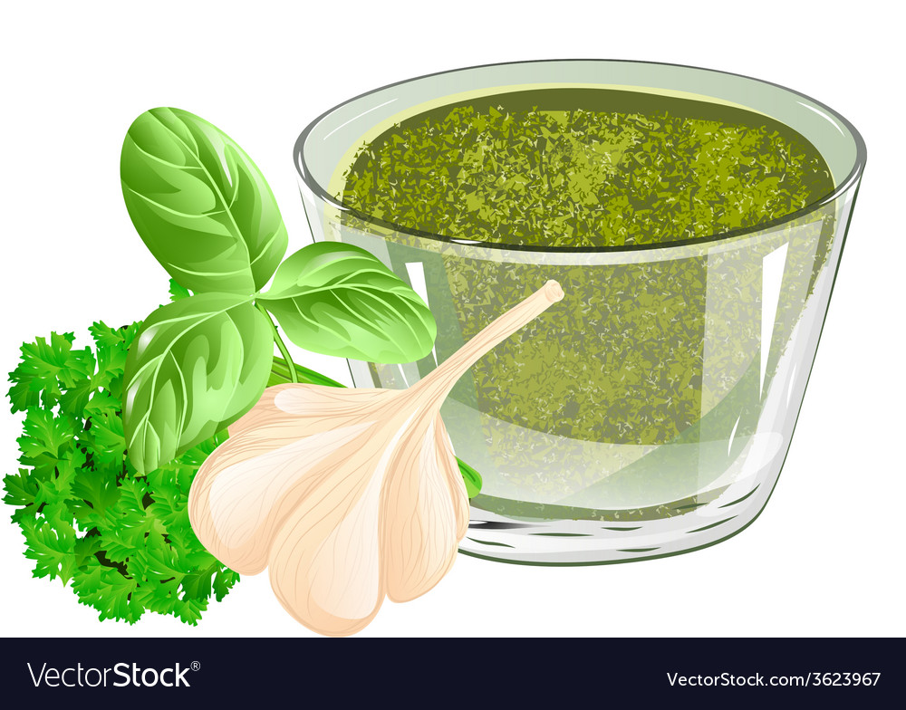 Basil pesto Royalty Free Vector Image - VectorStock
