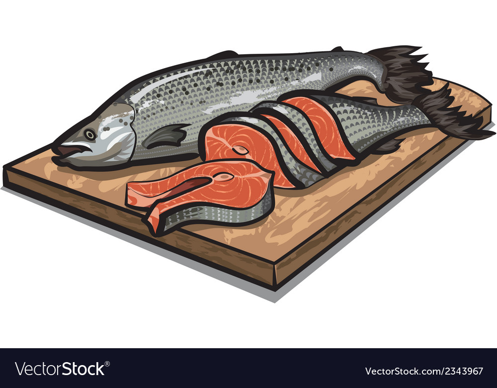 Raw salmon Royalty Free Vector Image - VectorStock