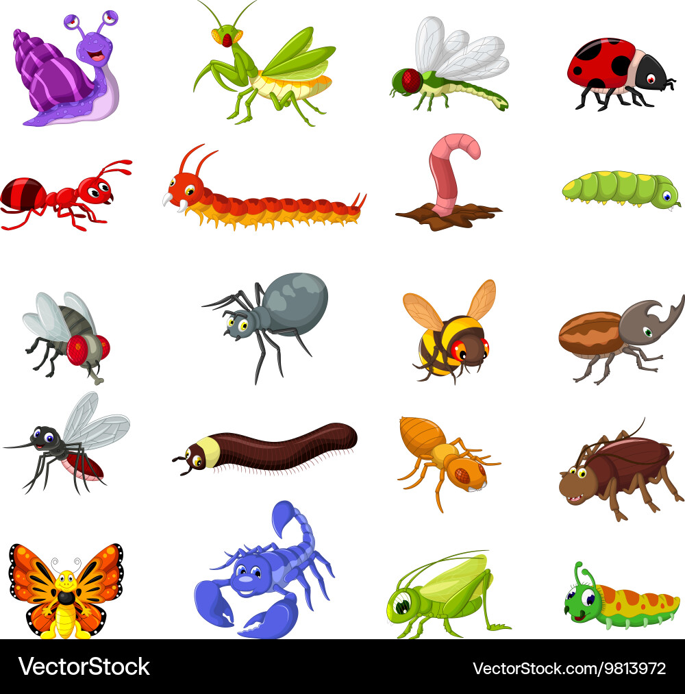 Collection insects cartoon for you design Vector Image
