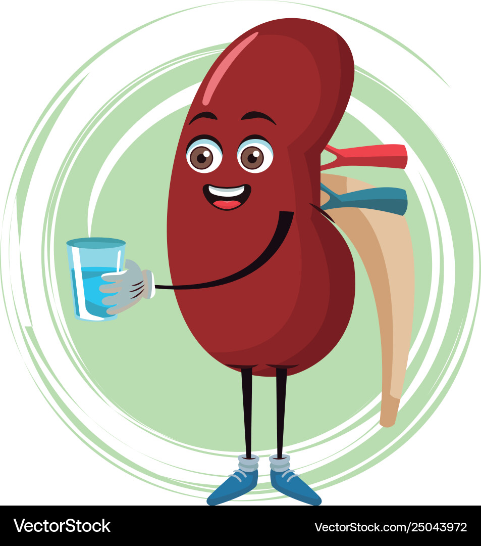 Kidney funny cartoon Royalty Free Vector Image