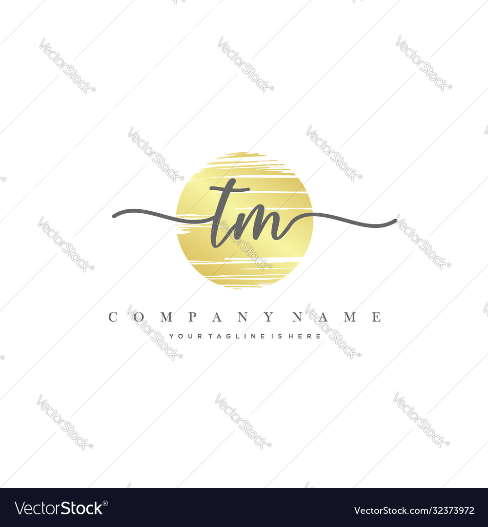 Tm initial handwriting logo Royalty Free Vector Image