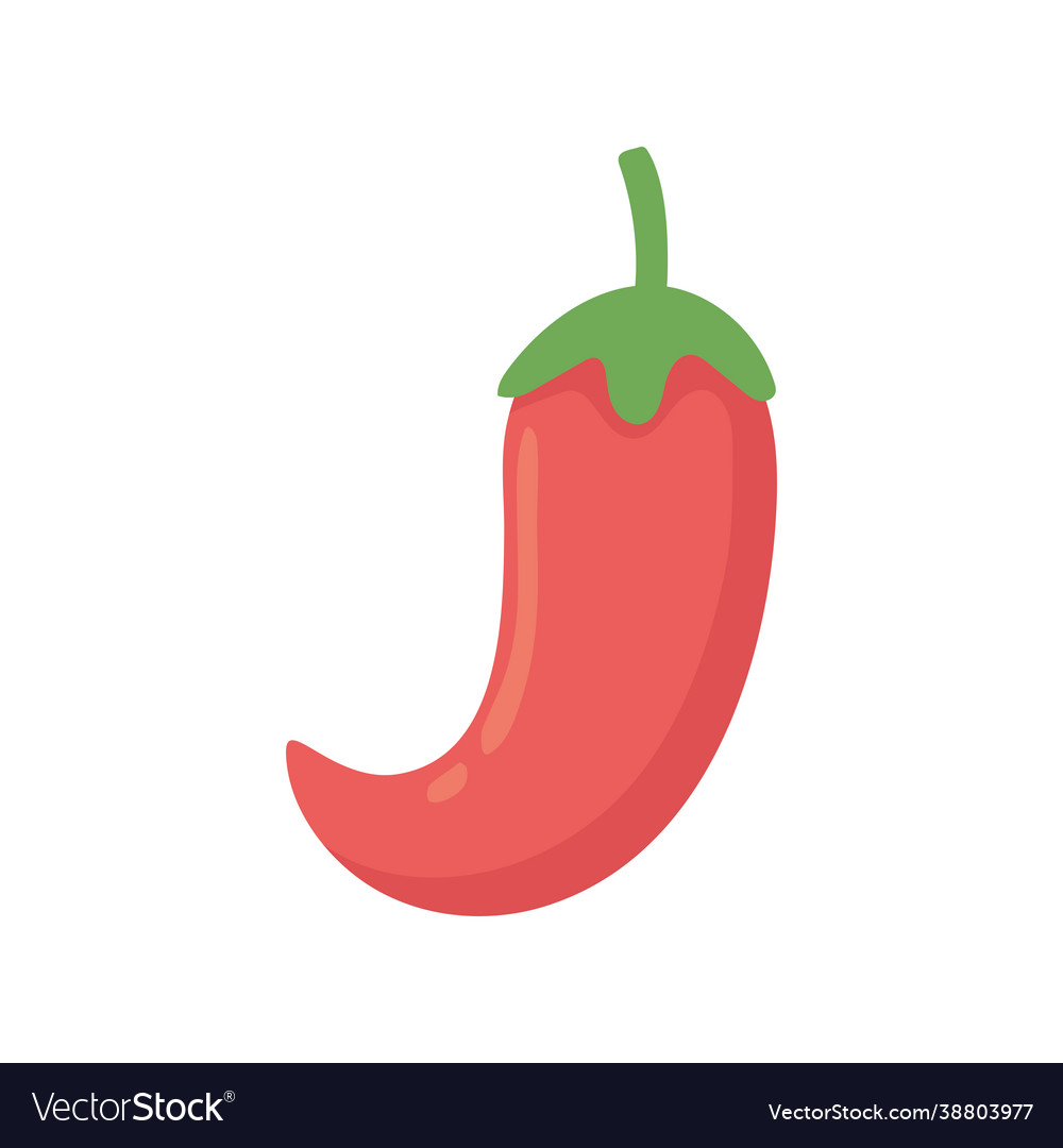 Chilli hot pepper Royalty Free Vector Image - VectorStock