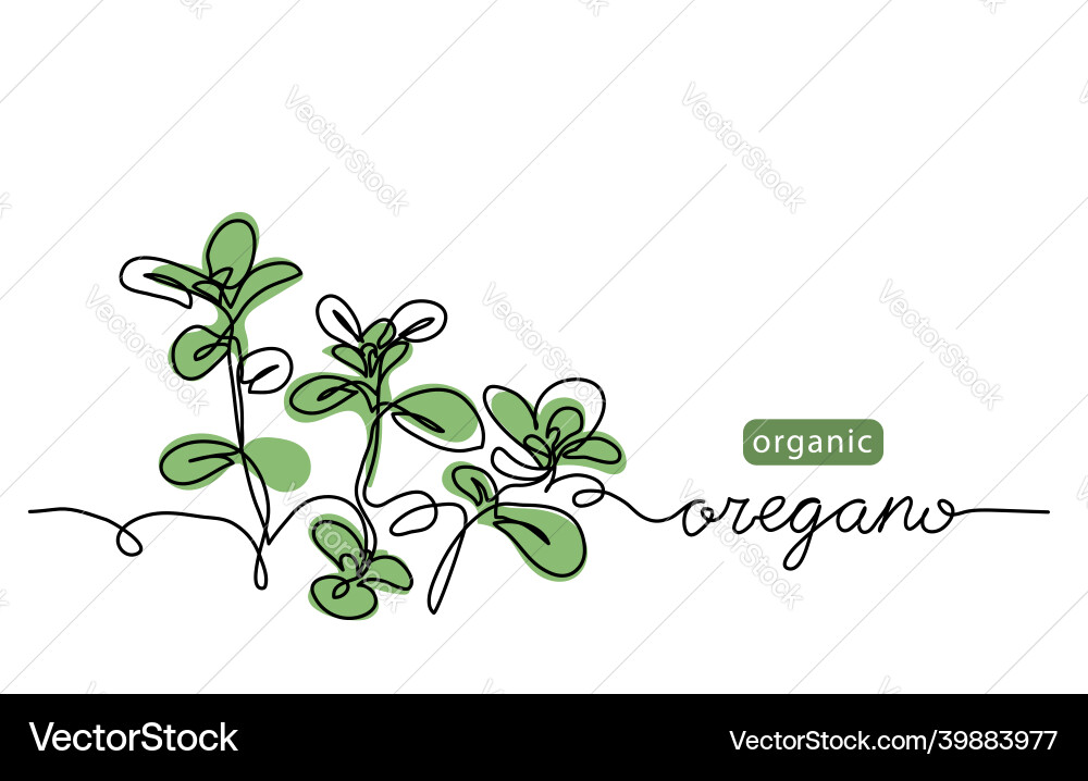 Oregano leaves simple sketch drawing one Vector Image