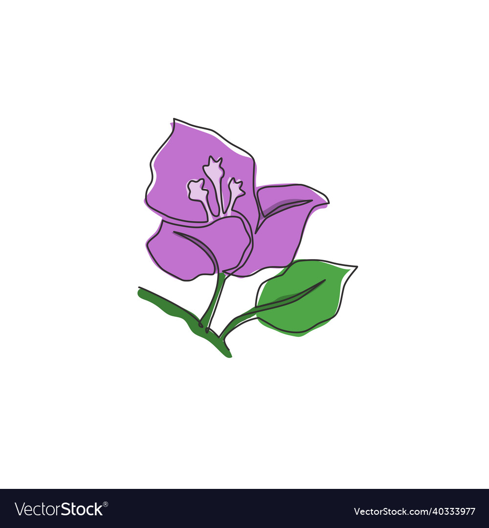 Single Continuous Line Drawing Of Beauty Fresh Vector Image
