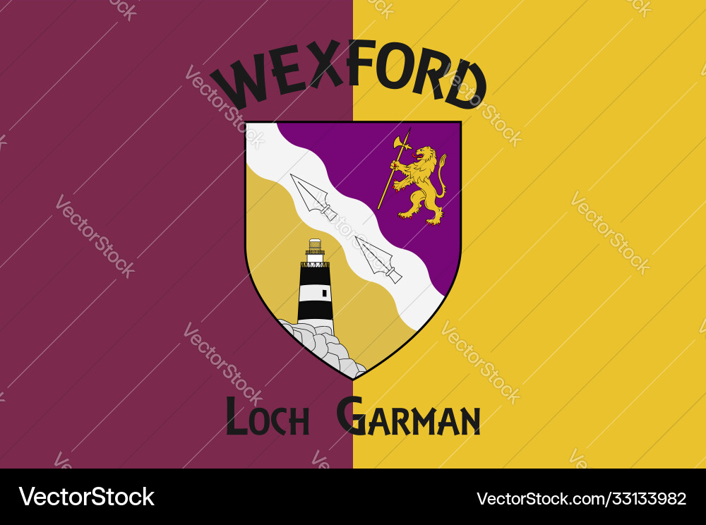 Flag county wexford in ireland Royalty Free Vector Image