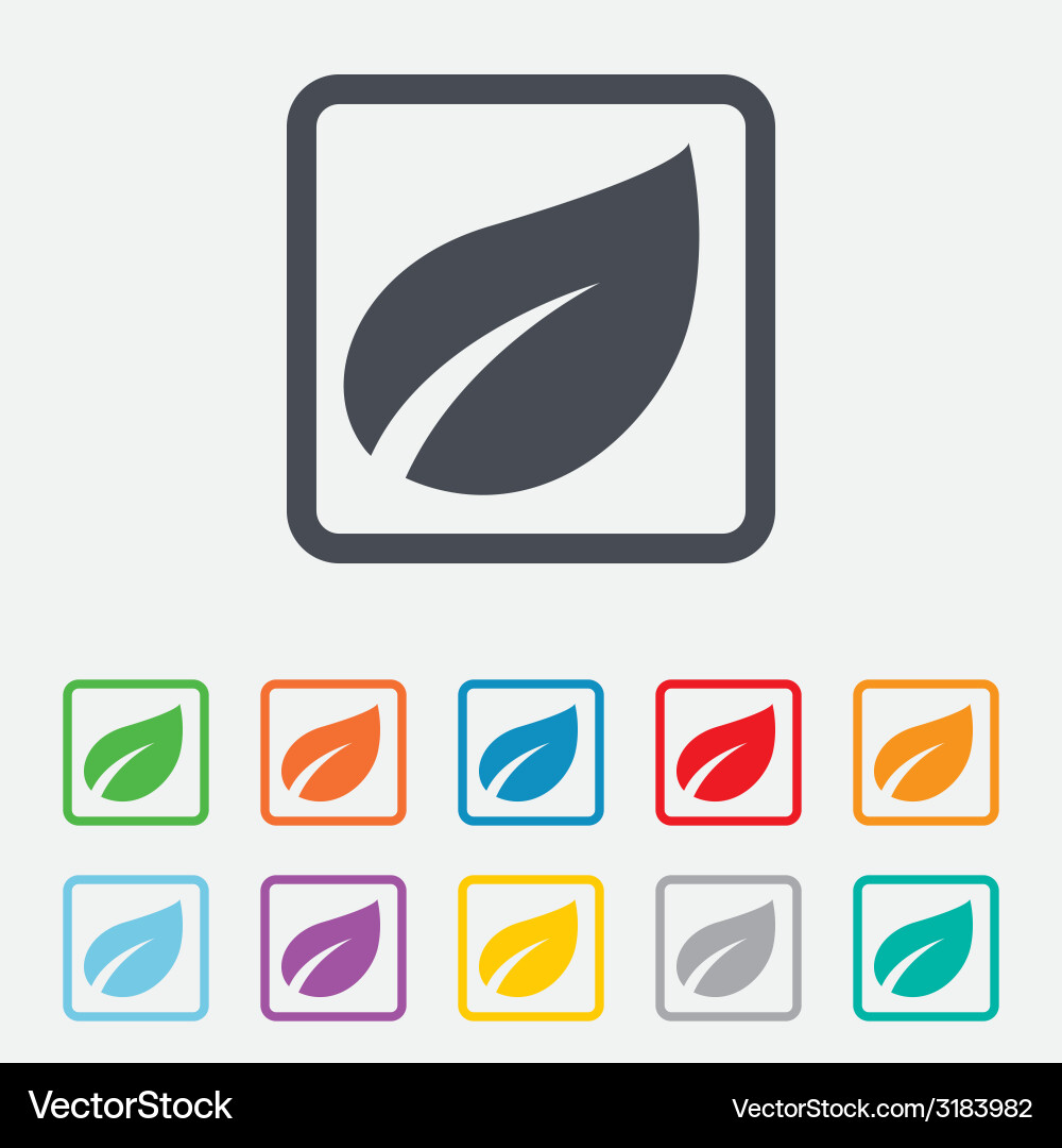 Leaf sign icon fresh product symbol Royalty Free Vector