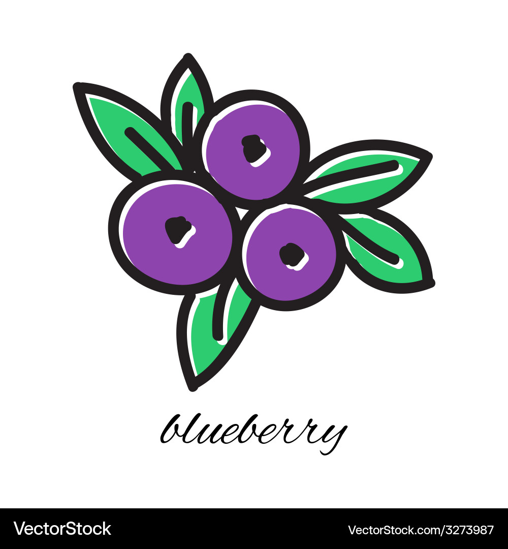 Doodle blueberry hand-drawn object isolated Vector Image