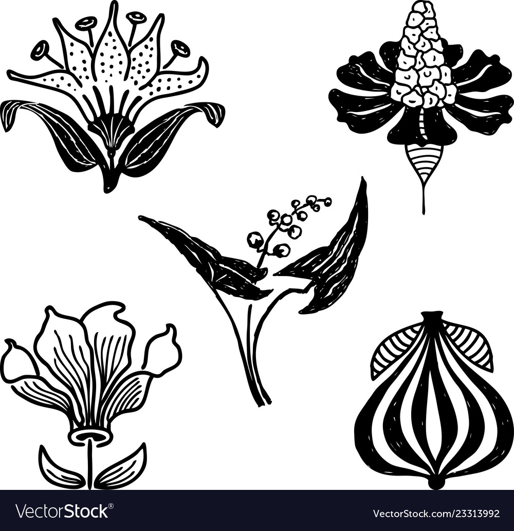 A Set Of Floral Decorative Elements Royalty Free Vector