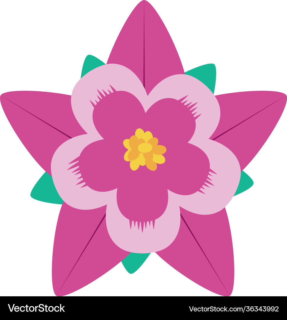 Beautiful pink flower icon colorful design Vector Image